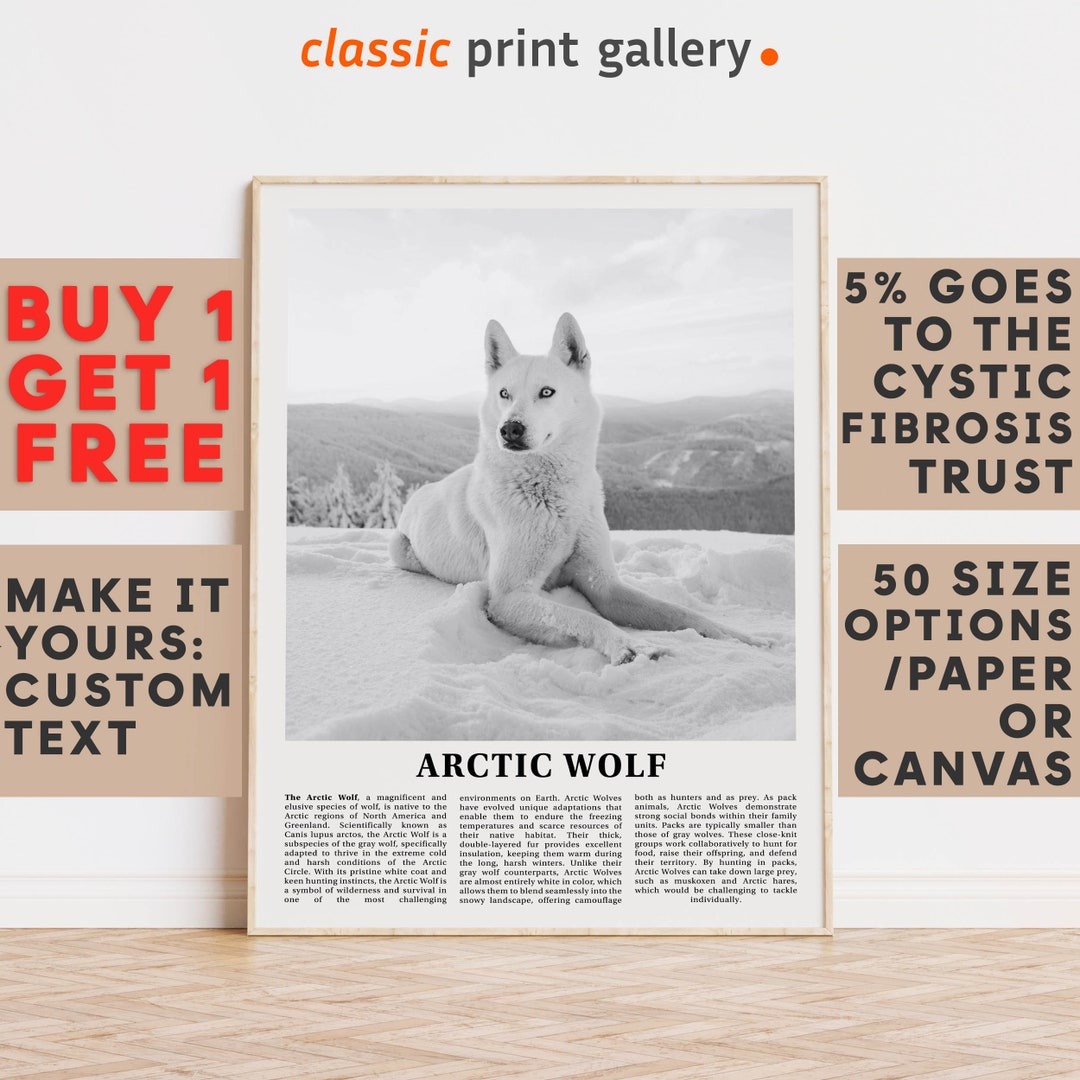 Arctic Wolf Print, Arctic Wolf Wall Art Poster, Black White Classroom ...
