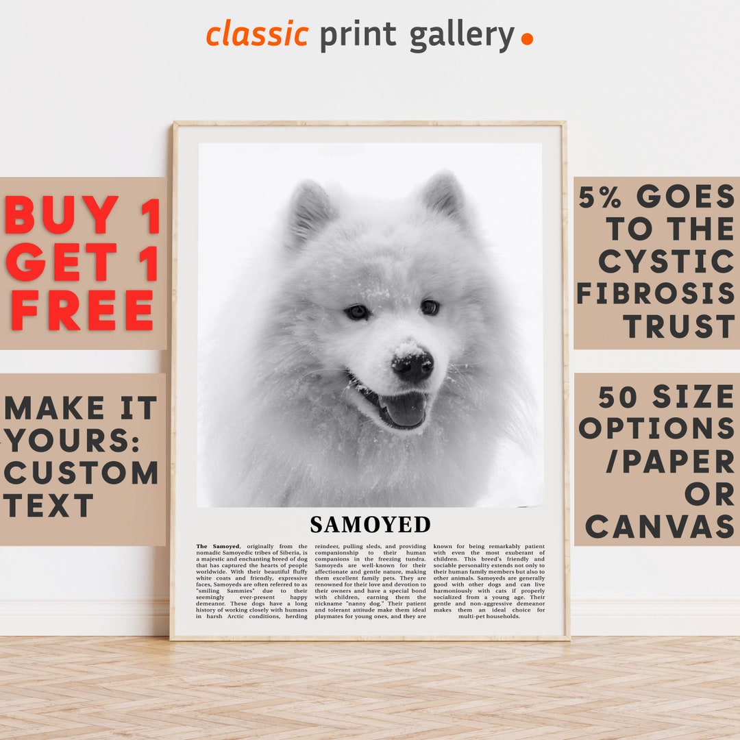 Samoyed Print, Samoyed Wall Art Poster, Black White Classroom Teacher Gift Present Kids Room ...