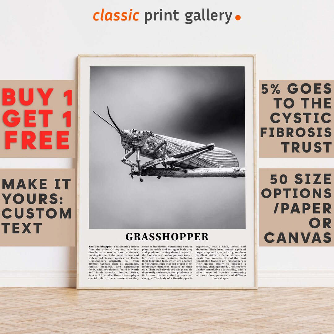 Grasshopper Print, Grasshopper Wall Art Poster, Black White Classroom ...