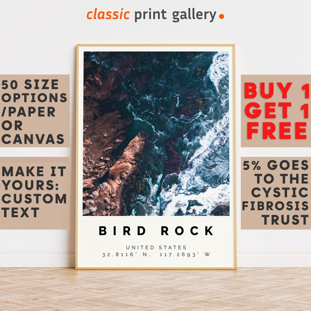 Bird Rock Poster Colorful Print, Bird Rock Wall Art, Bird Rock Photo ...