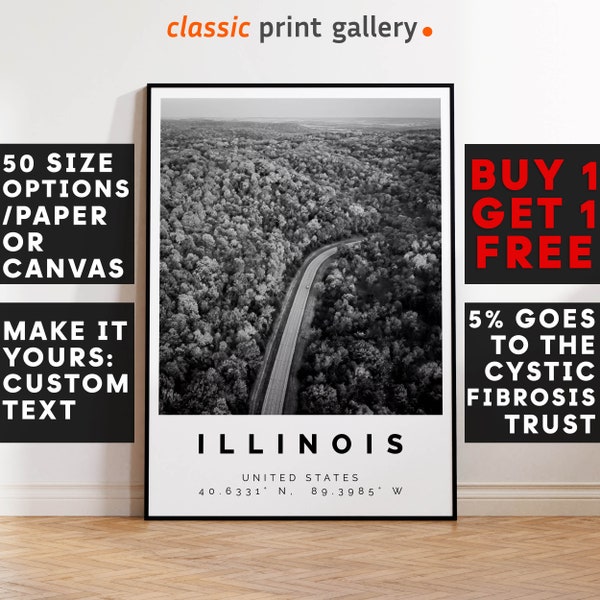 Illinois Poster - Etsy