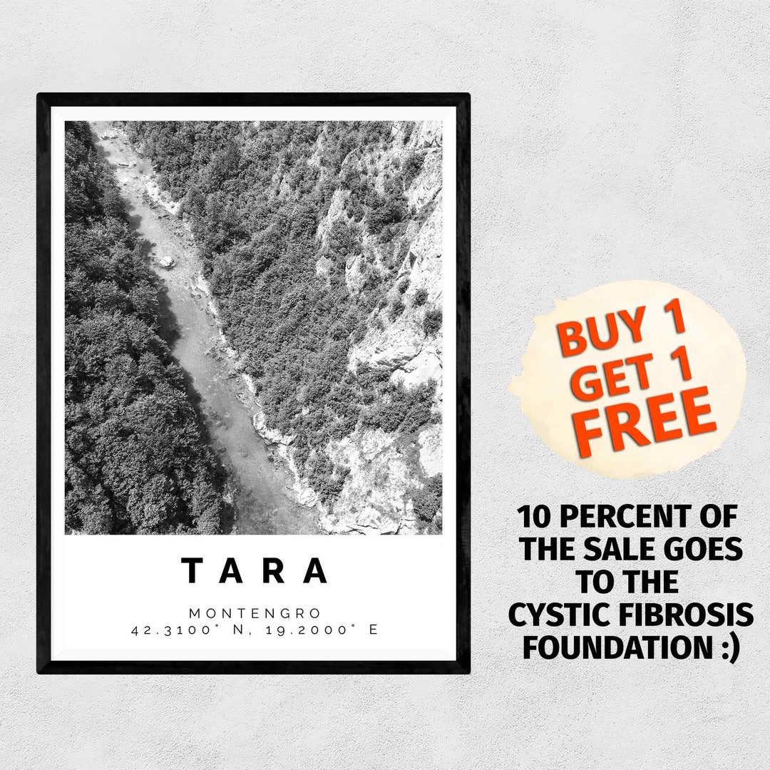 Tara Poster Black and White Print Tara Wall Art Tara Travel - Etsy
