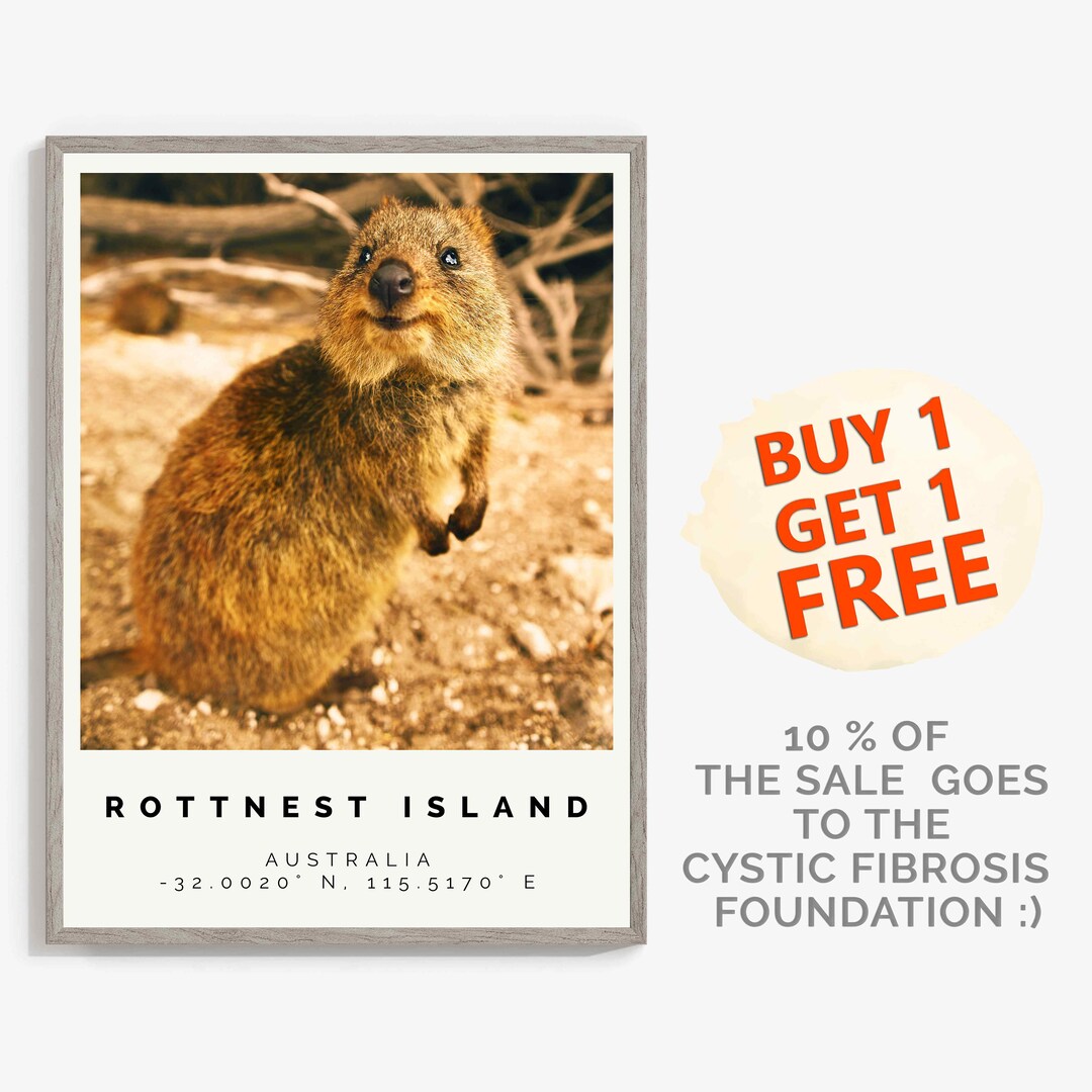 Rottnest Island Poster Colorful Print Rottnest Island Wall - Etsy