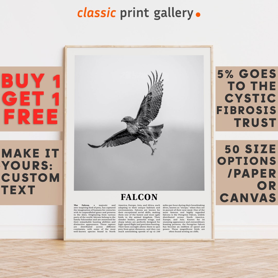 Falcon Print, Falcon Wall Art Poster, Black White Classroom Teacher ...