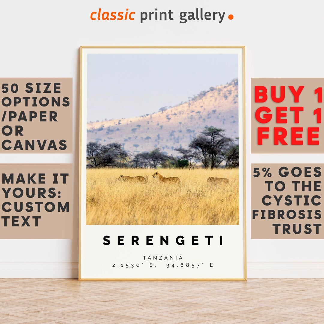 Serengeti Poster Colorful Print, Serengeti Wall Art, Serengeti Photo ...