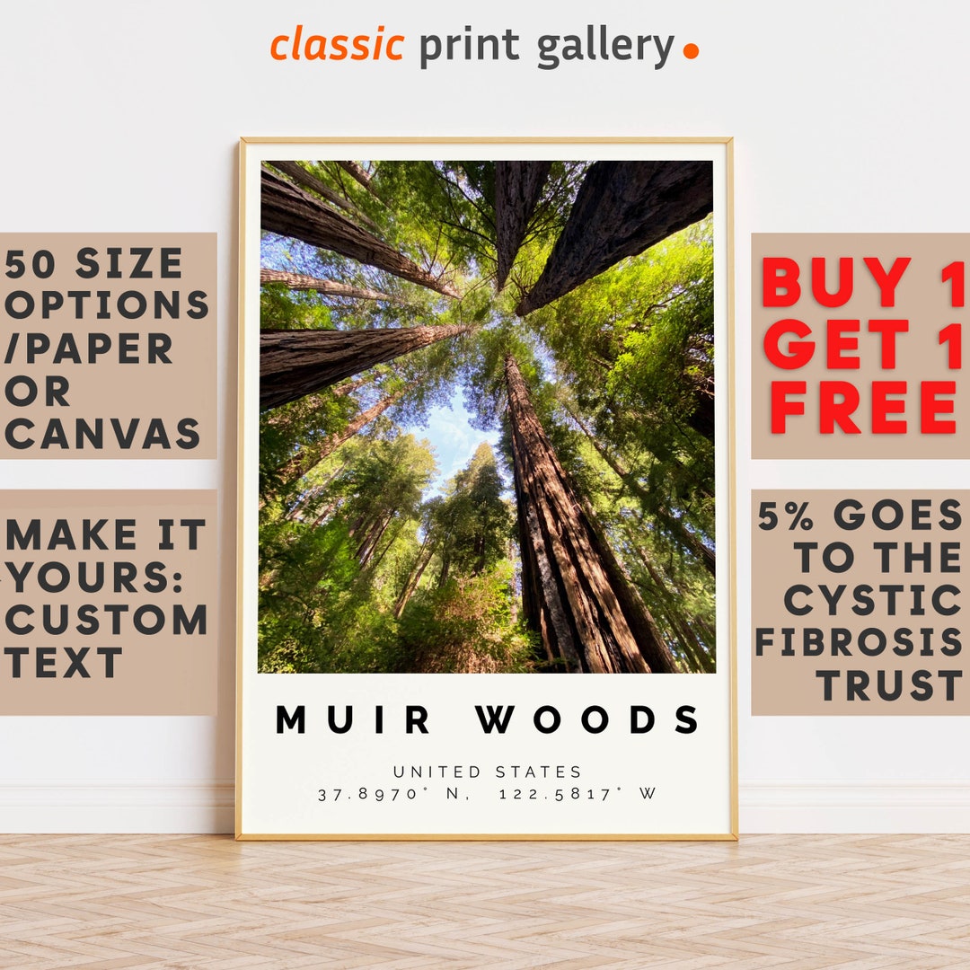 Muir Woods Poster Colorful Print, Muir Woods Wall Art, Muir Woods Photo ...