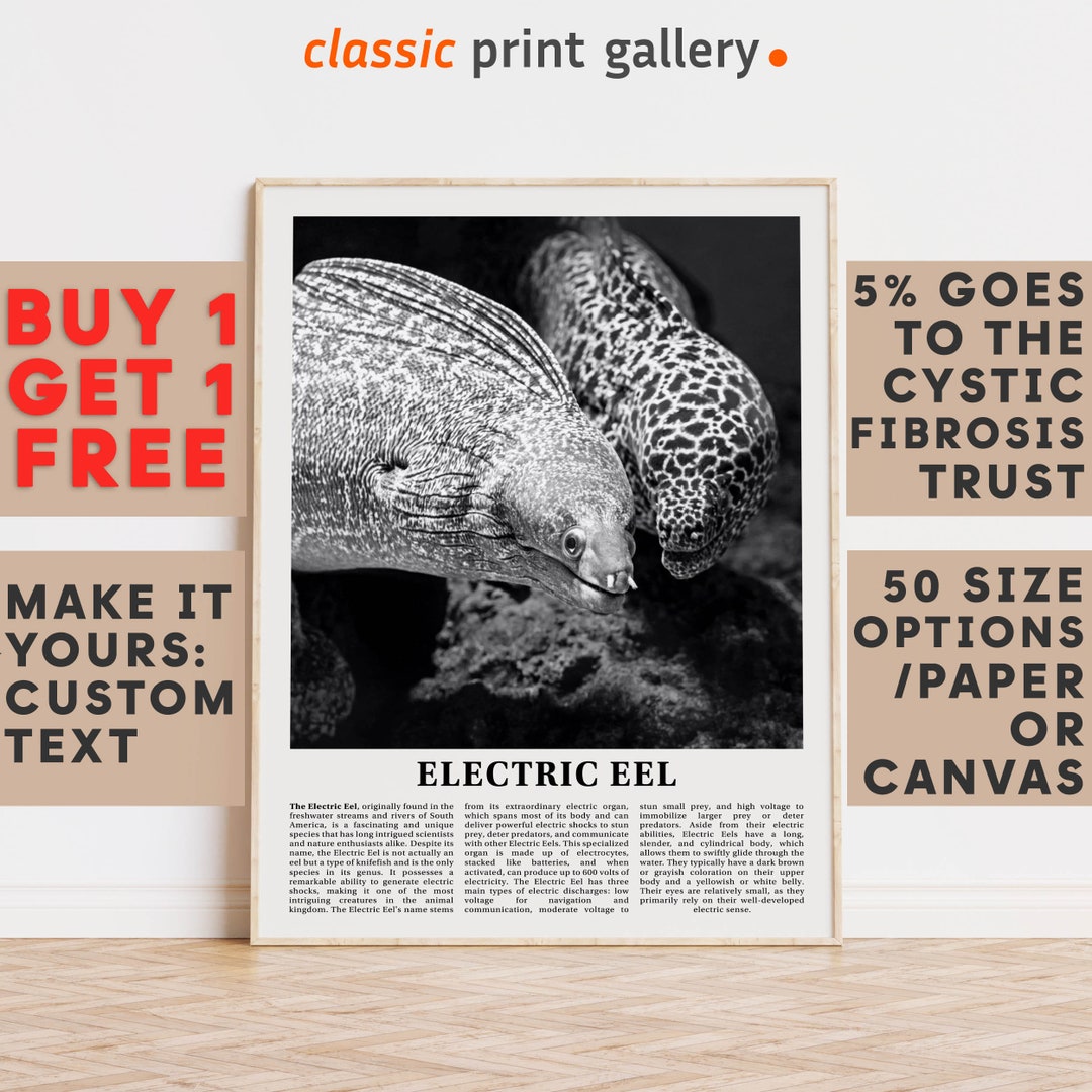Electric Eel Print, Electric Eel Wall Art Poster, Black White Classroom ...