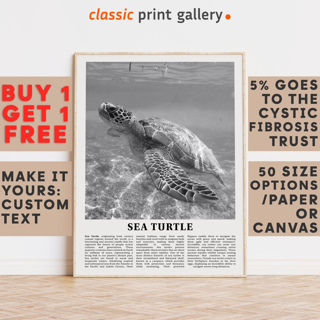 Sea Turtle Print, Sea Turtle Wall Art Poster, Black White Classroom ...