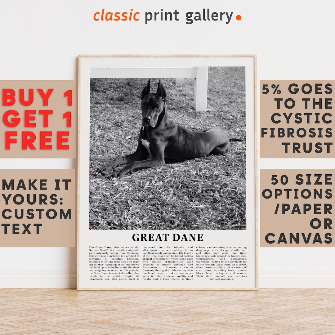 Great Dane Print, Great Dane Wall Art Poster, Black White Classroom ...