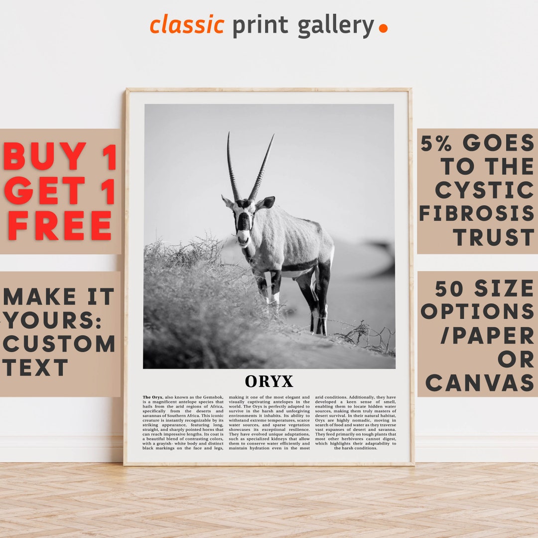 Oryx Print, Oryx Wall Art Poster, Black White Classroom Teacher Gift ...
