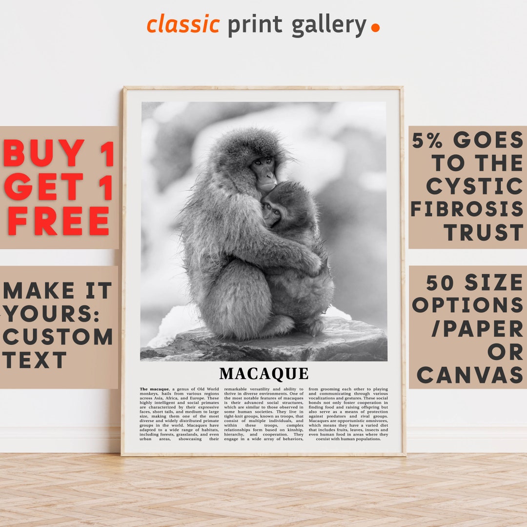 Macaque Print, Macaque Wall Art Poster, Black White Classroom Teacher ...