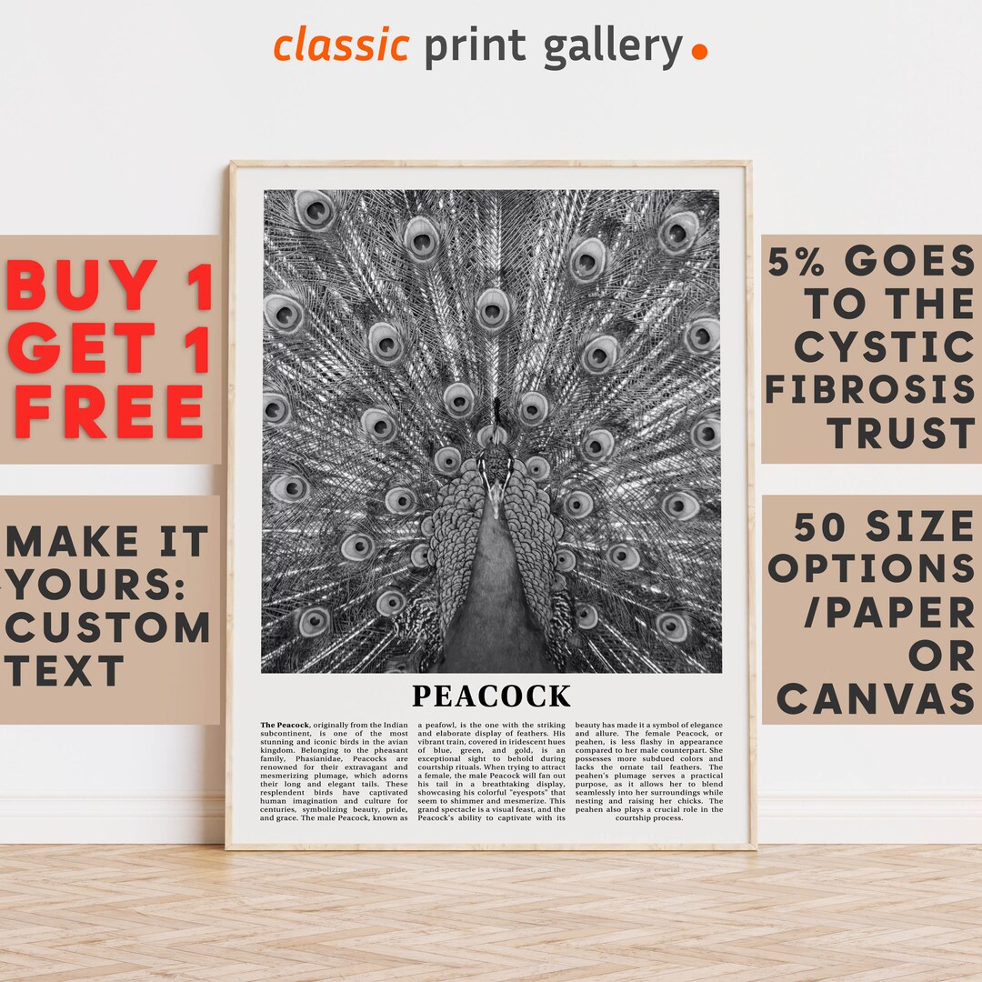 Peacock Print, Peacock Wall Art Poster, Black White Classroom Teacher ...
