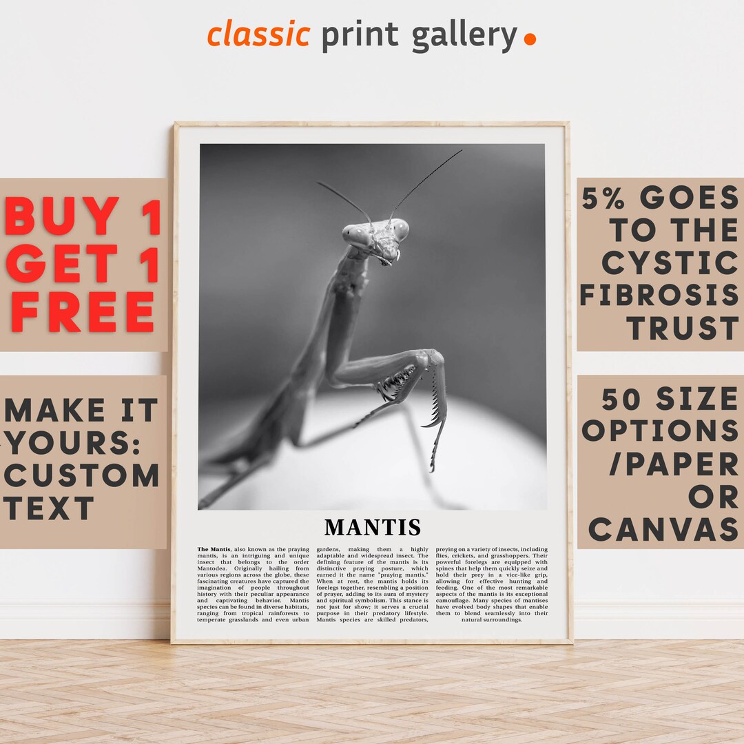Mantis Print, Mantis Wall Art Poster, Black White Classroom Teacher ...