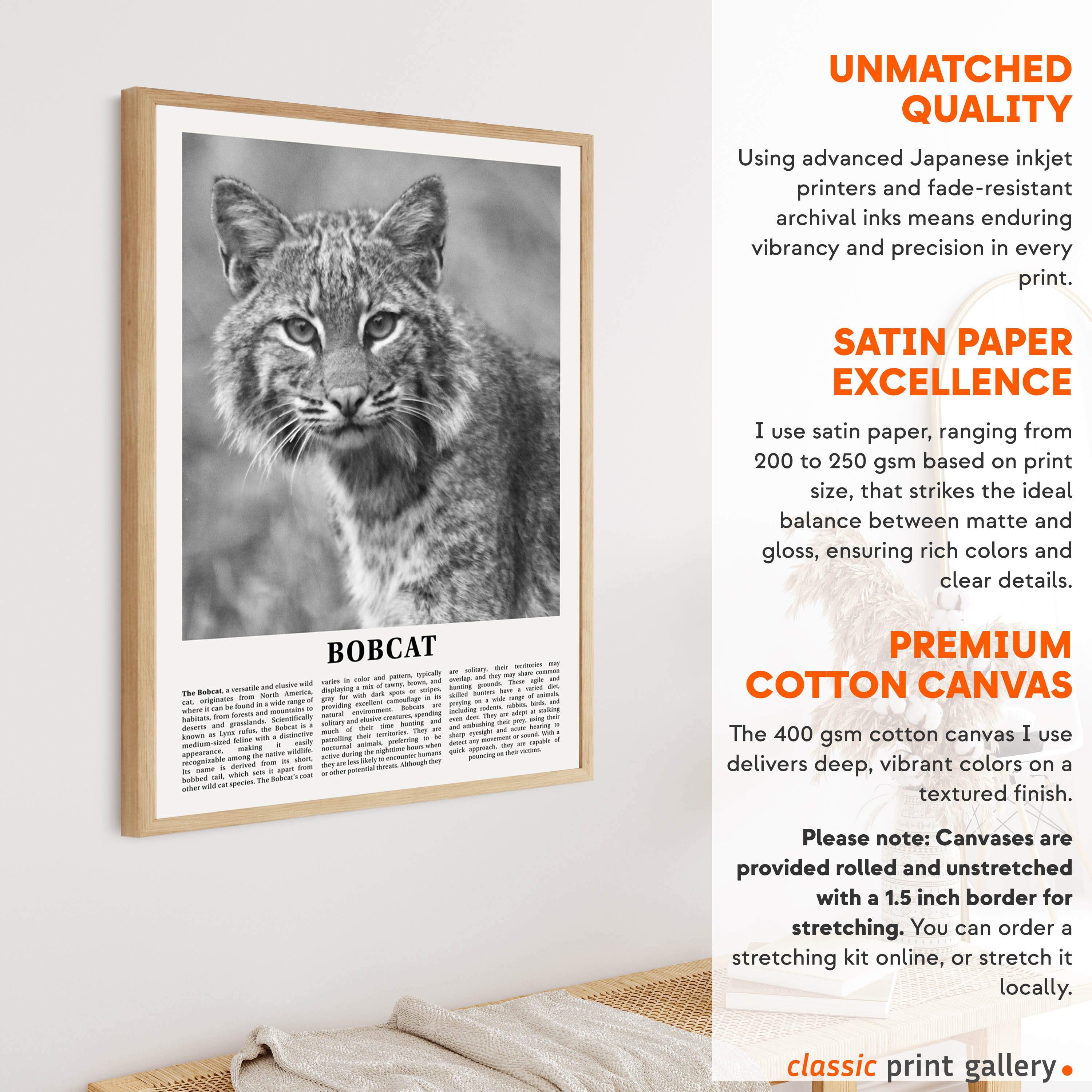 Bobcat Print, Bobcat Wall Art Poster, Black White Classroom Teacher ...