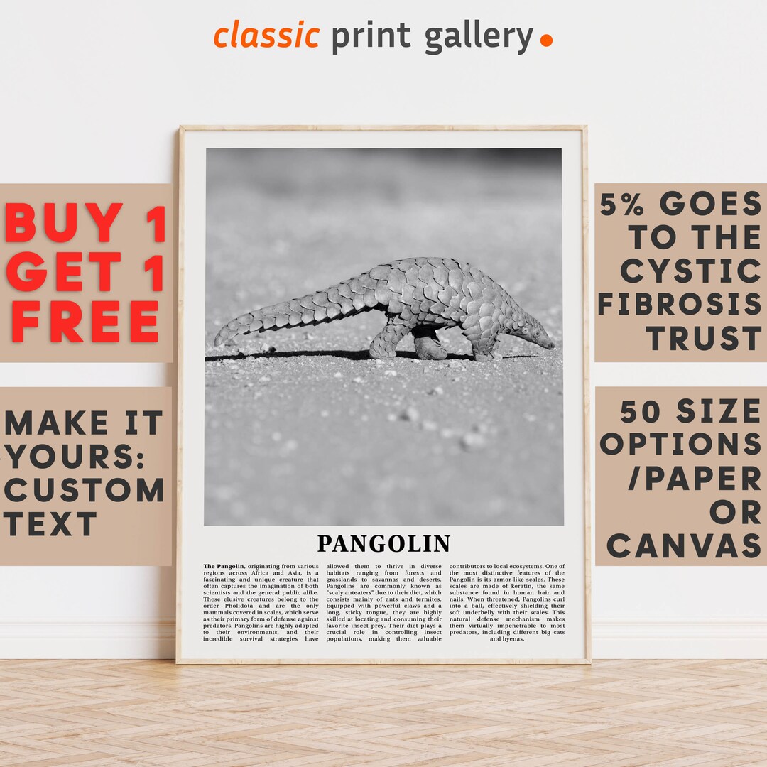 Pangolin Print, Pangolin Wall Art Poster, Black White Classroom Teacher Gift Present Kids Room ...