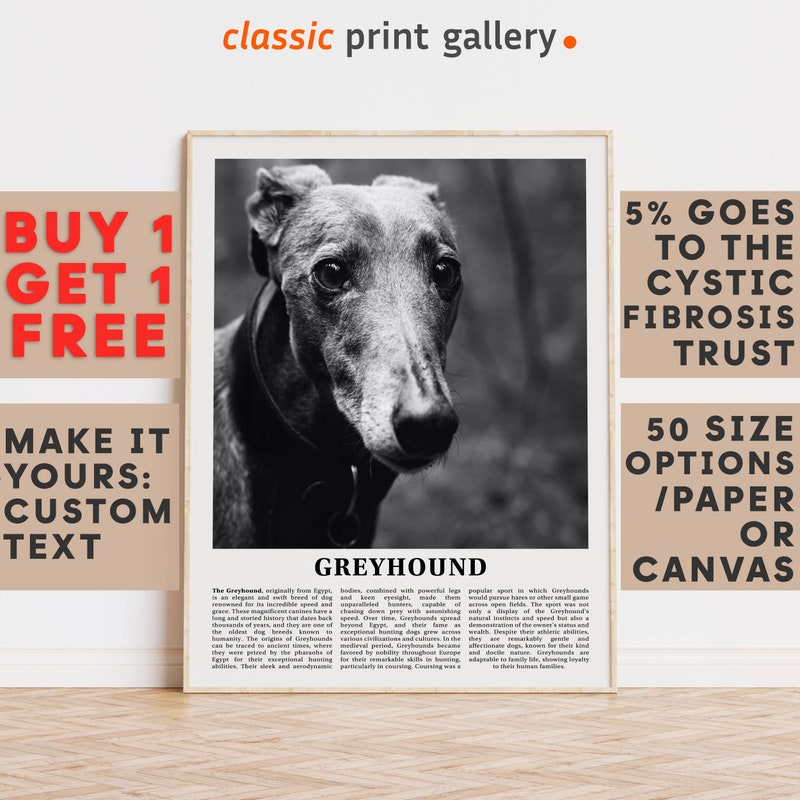 Greyhound Gifts - 60+ Gift Ideas for 2025