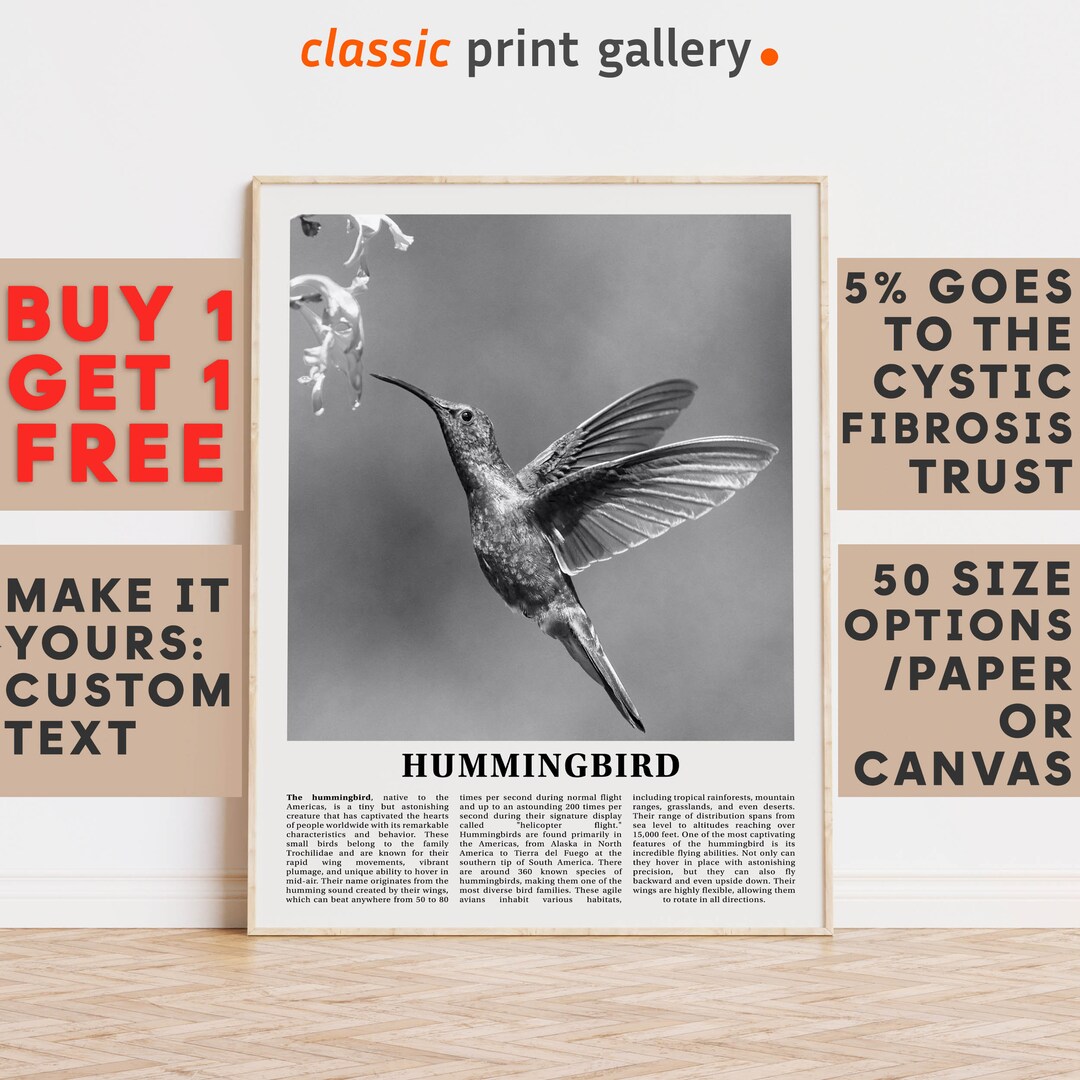 Hummingbird Print, Hummingbird Wall Art Poster, Black White Classroom ...