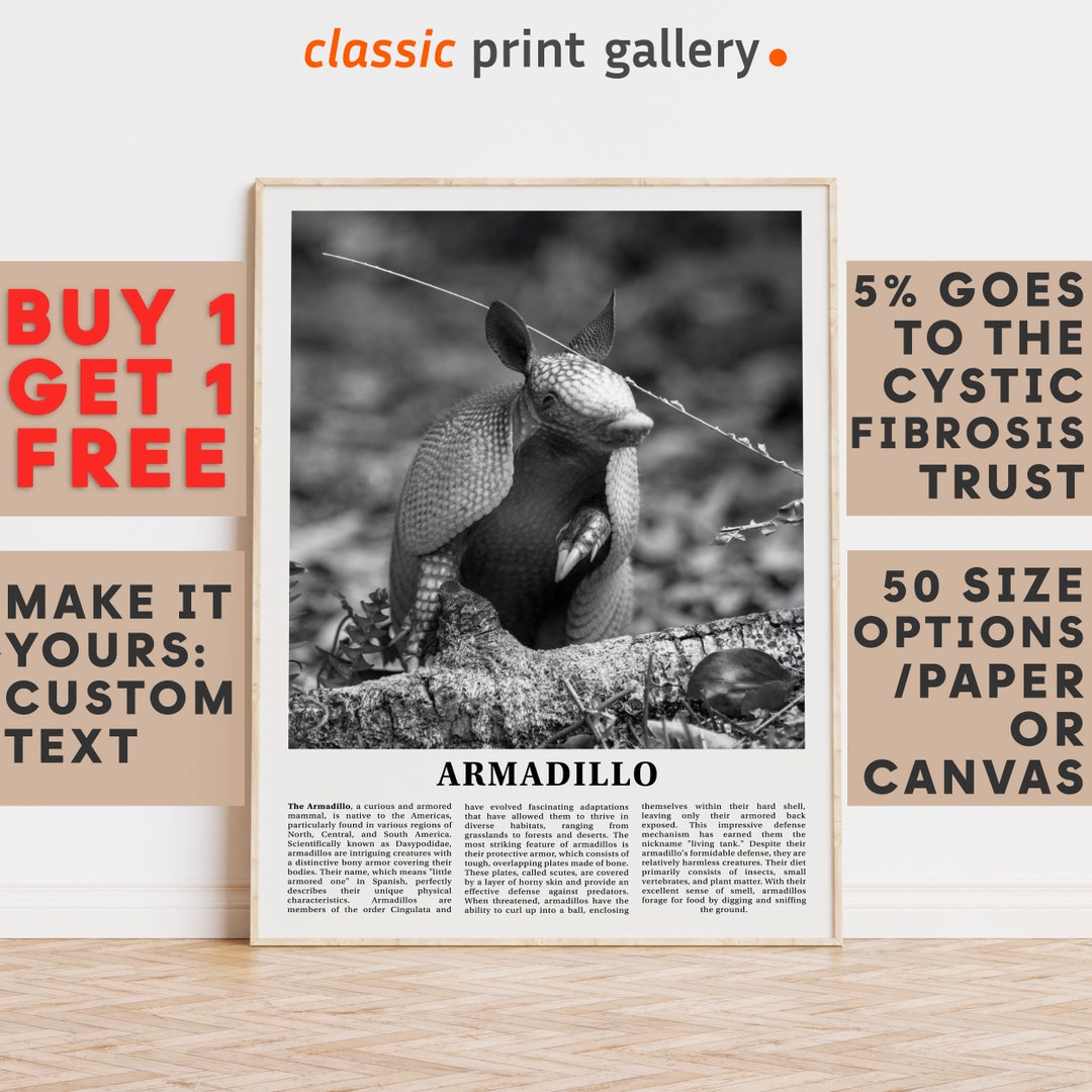 Armadillo Print, Armadillo Wall Art Poster, Black White Classroom Teacher Gift Present Kids Room ...
