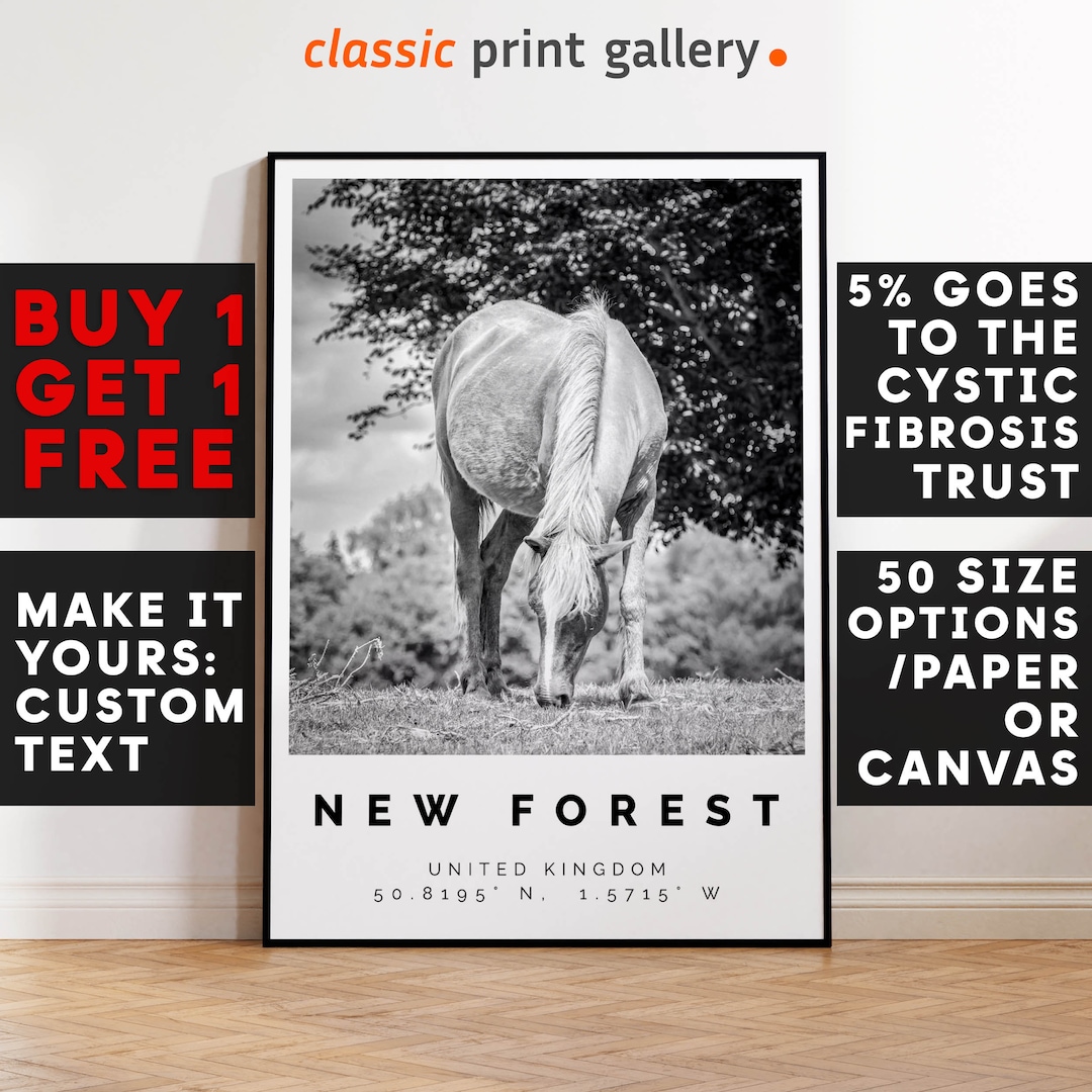 New Forest Print,new Forest Wall Art,new Forest Black and White Poster ...