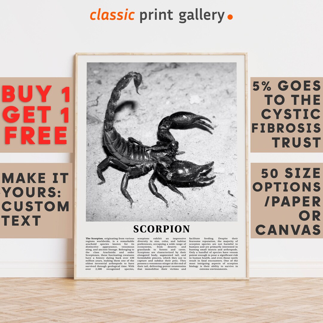 Scorpion Print, Scorpion Wall Art Poster, Black White Classroom Teacher ...