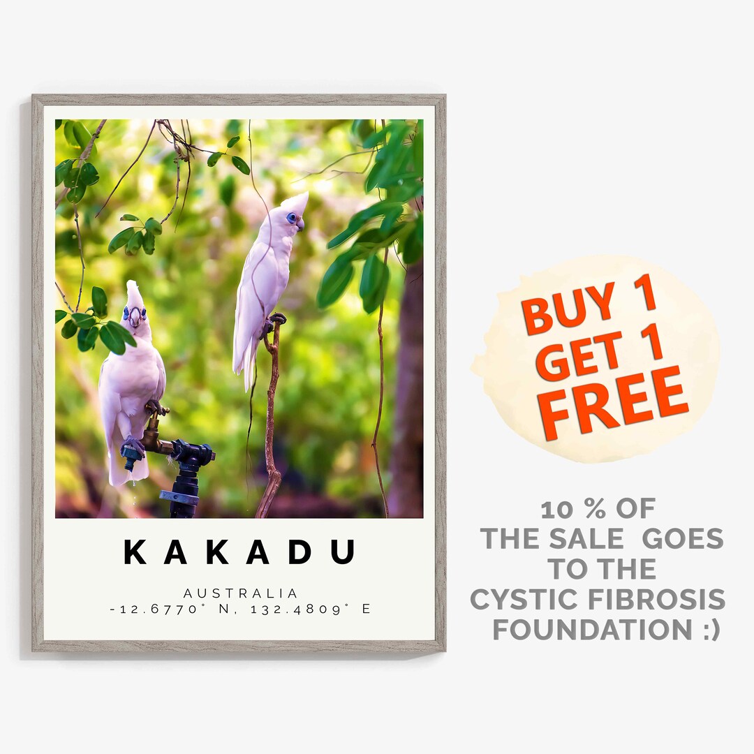 Kakadu Poster Colorful Print Kakadu Wall Art Kakadu Photo - Etsy
