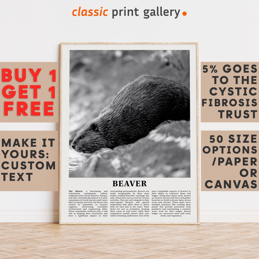 Beaver Print, Beaver Wall Art Poster, Black White Classroom Teacher ...