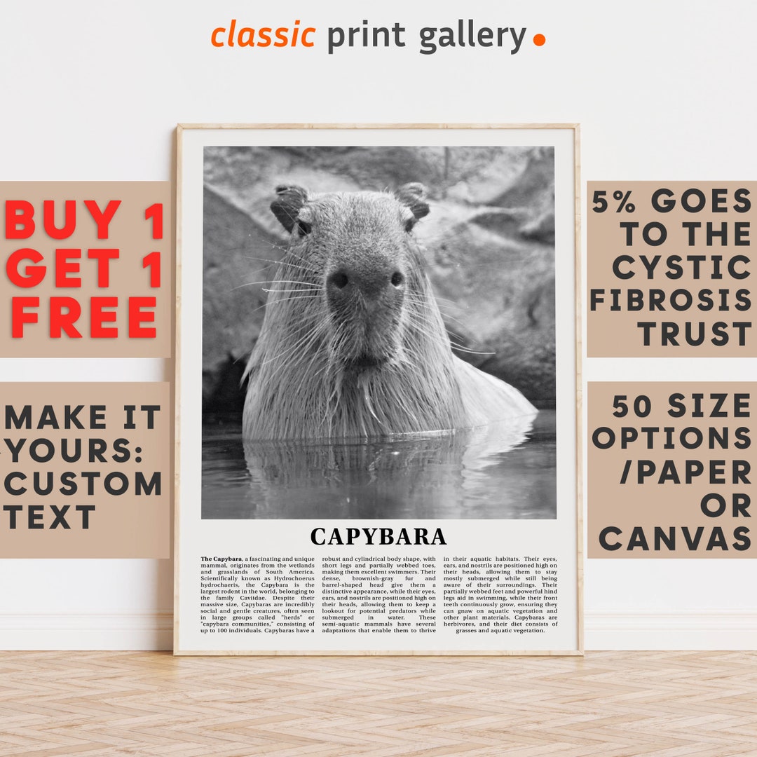 Capybara Print, Capybara Wall Art Poster, Black White Classroom Teacher ...