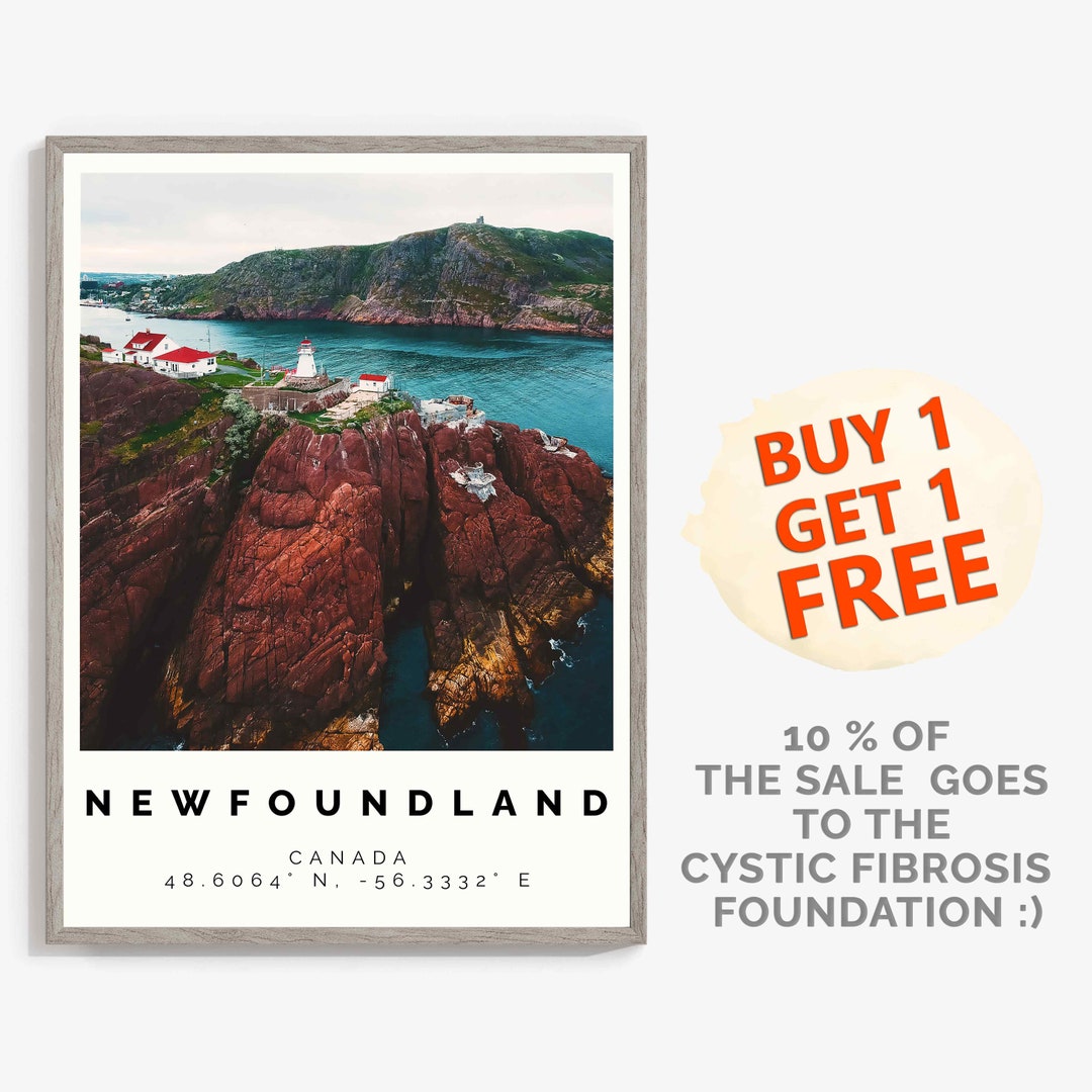 Newfoundland Poster Colorful Print Newfoundland Wall Art - Etsy