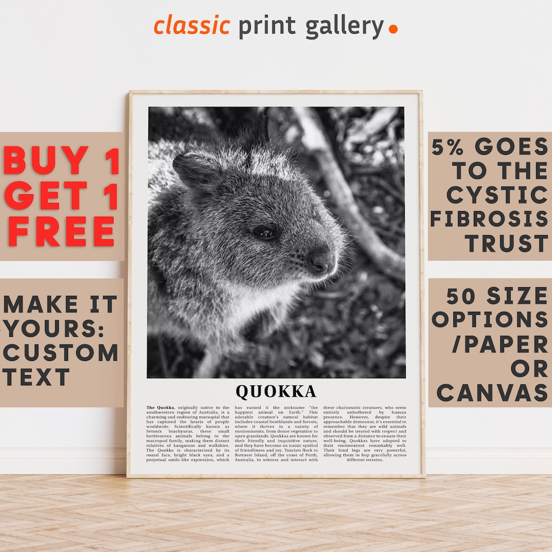 Quokka Print, Quokka Wall Art Poster, Black White Classroom Teacher ...