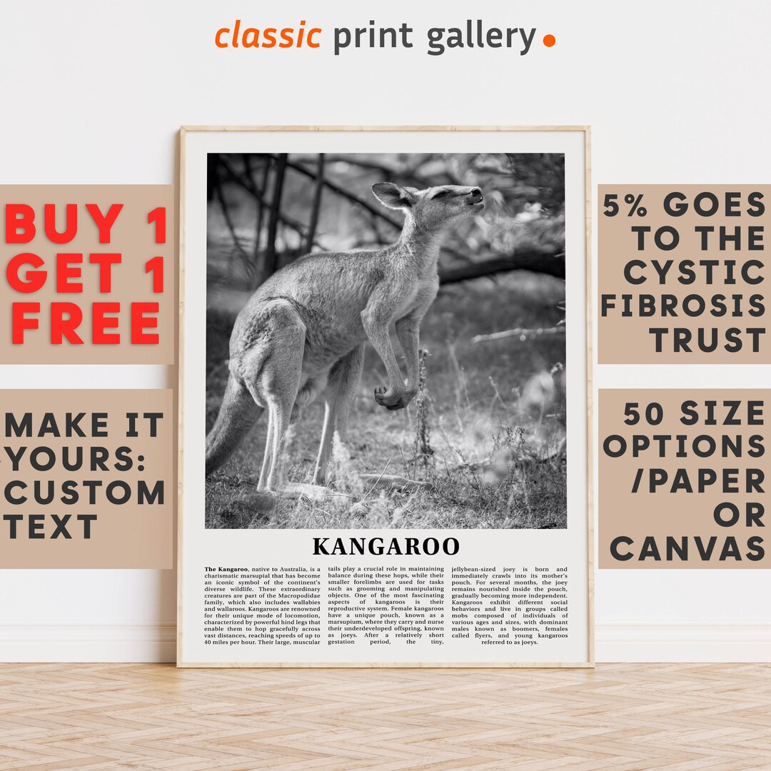 Kangaroo Print, Kangaroo Wall Art Poster, Black White Classroom Teacher ...