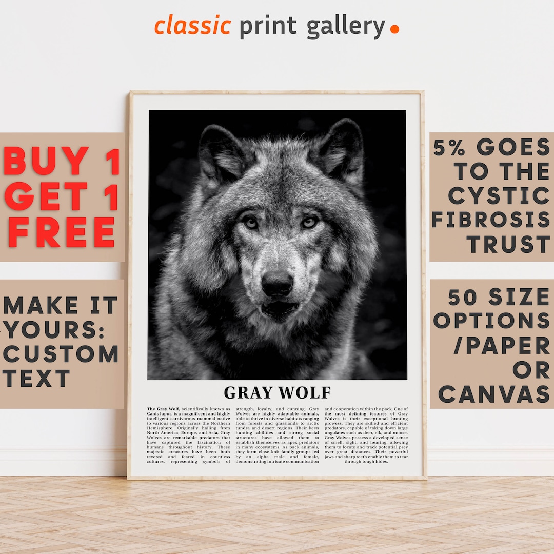 Gray Wolf Print, Gray Wolf Wall Art Poster, Black White Classroom ...