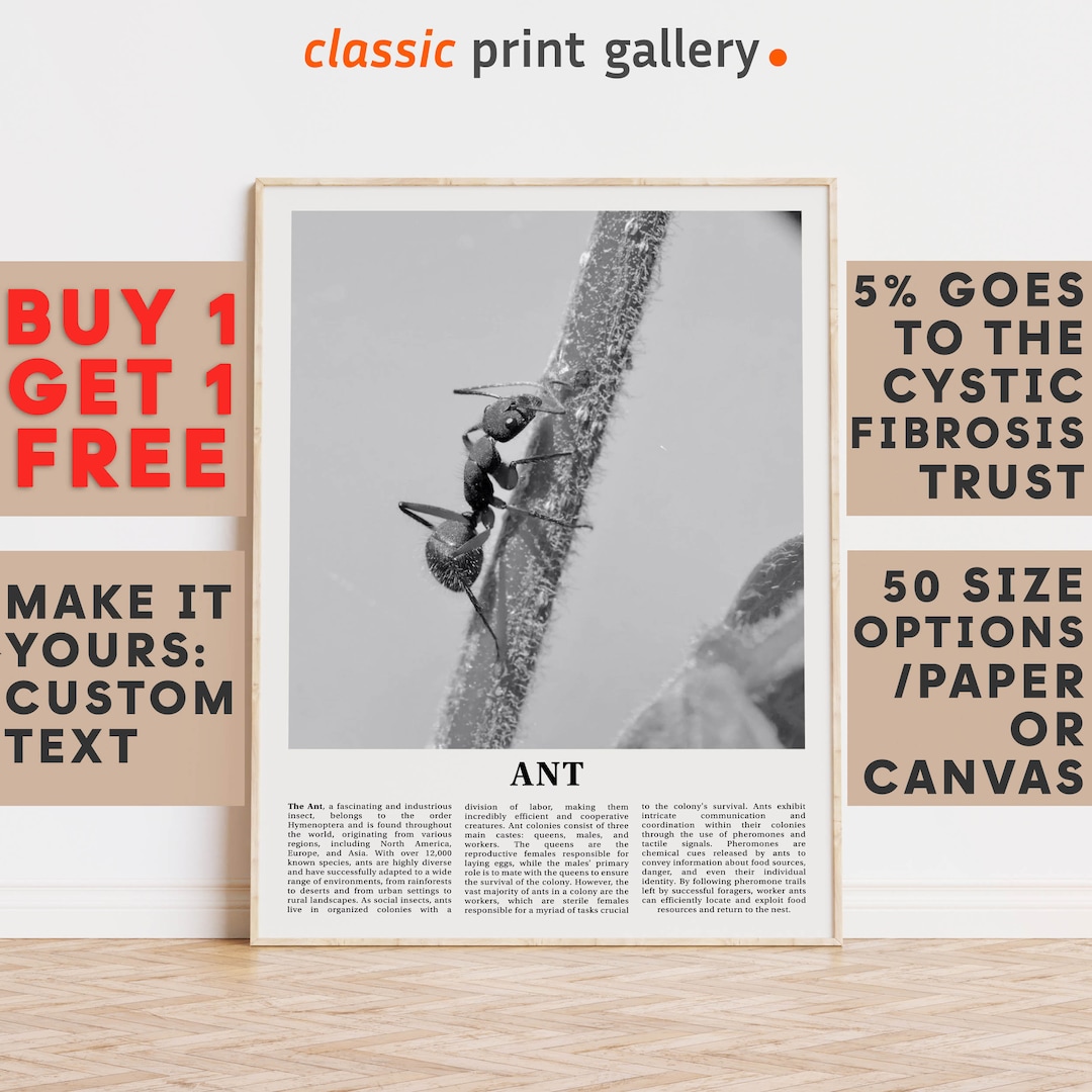 Ant Print, Ant Wall Art Poster, Black White Classroom Teacher Gift ...