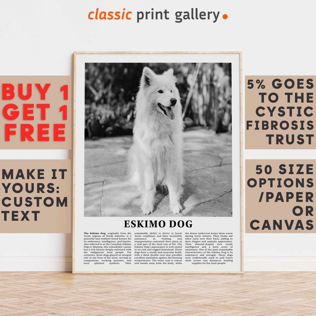 Eskimo Dog Print, Eskimo Dog Wall Art Poster, Black White Classroom ...