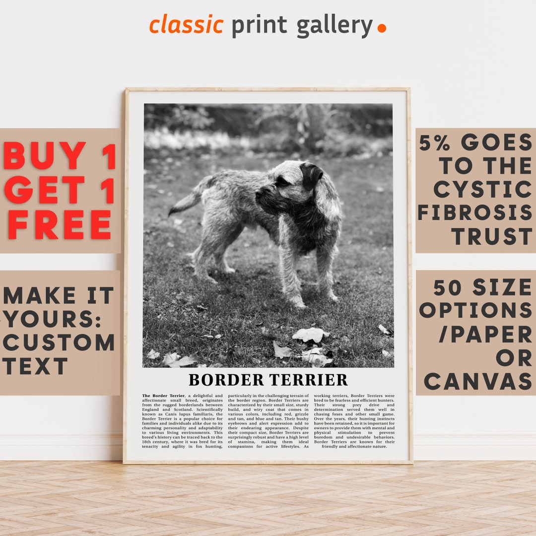 Border Terrier Print, Border Terrier Wall Art Poster, Black White ...