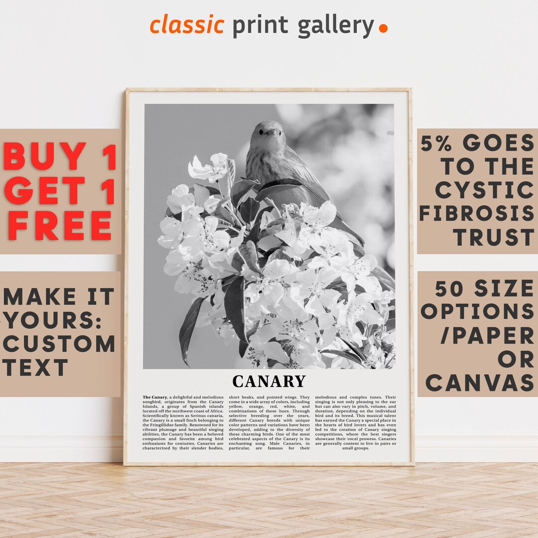 Canary Print, Canary Wall Art Poster, Black White Classroom Teacher ...