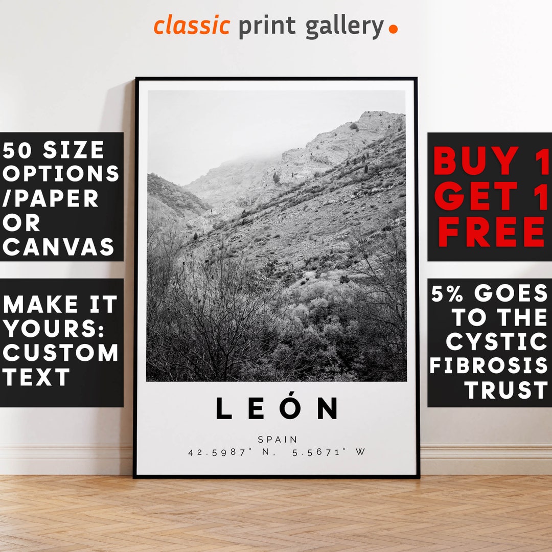 Leon Poster Black and White Print, Leon Wall Art, Leon Photo Print ...