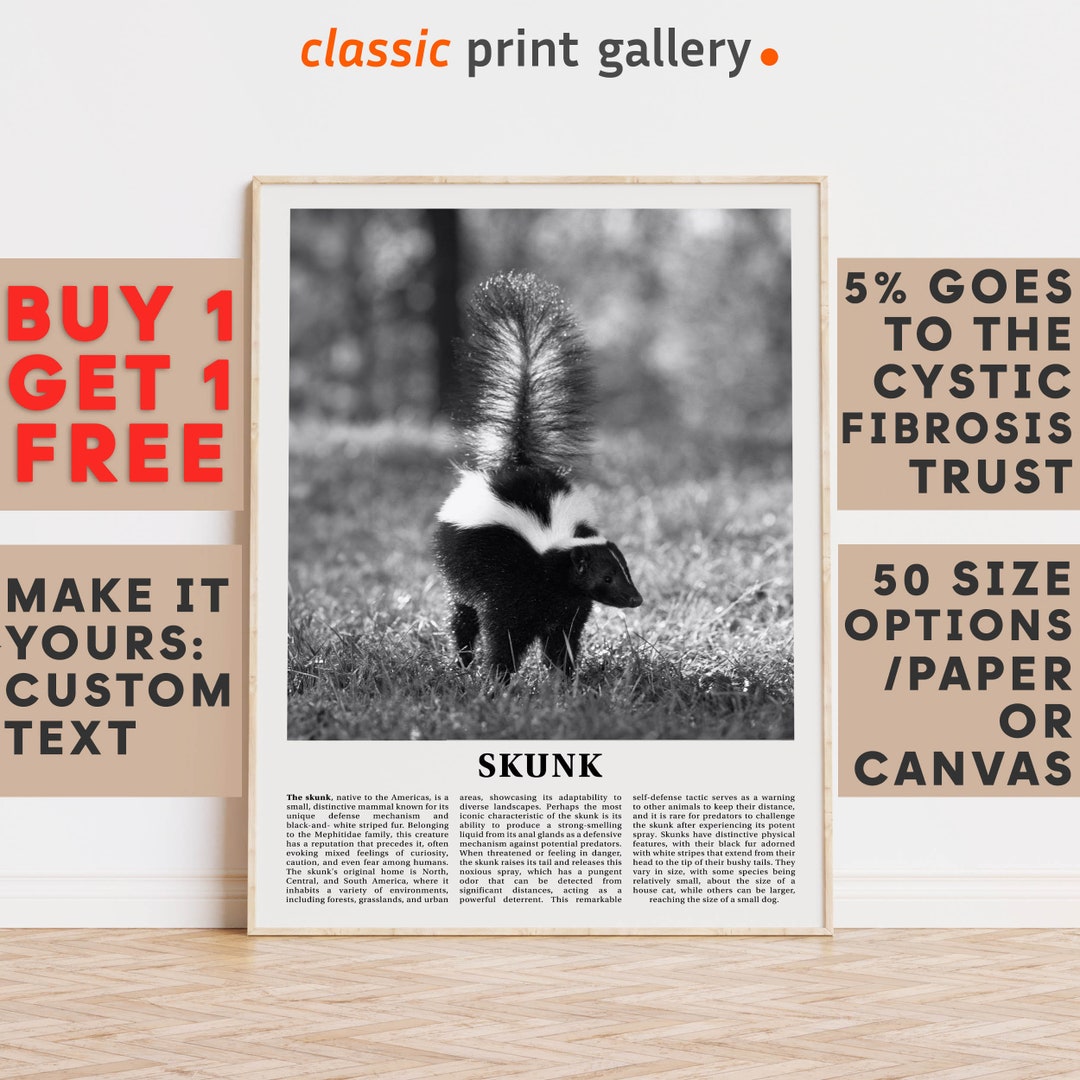 Skunk Print, Skunk Wall Art Poster, Black White Classroom Teacher Gift ...