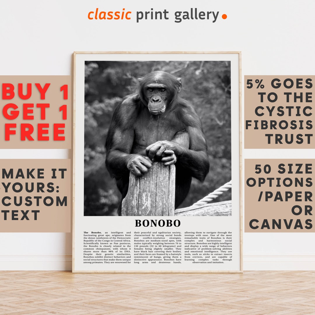 Bonobo Print, Bonobo Wall Art Poster, Black White Classroom Teacher ...