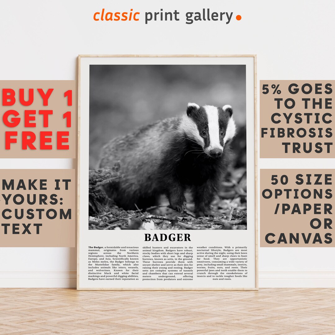 Badger Print, Badger Wall Art Poster, Black White Classroom Teacher ...