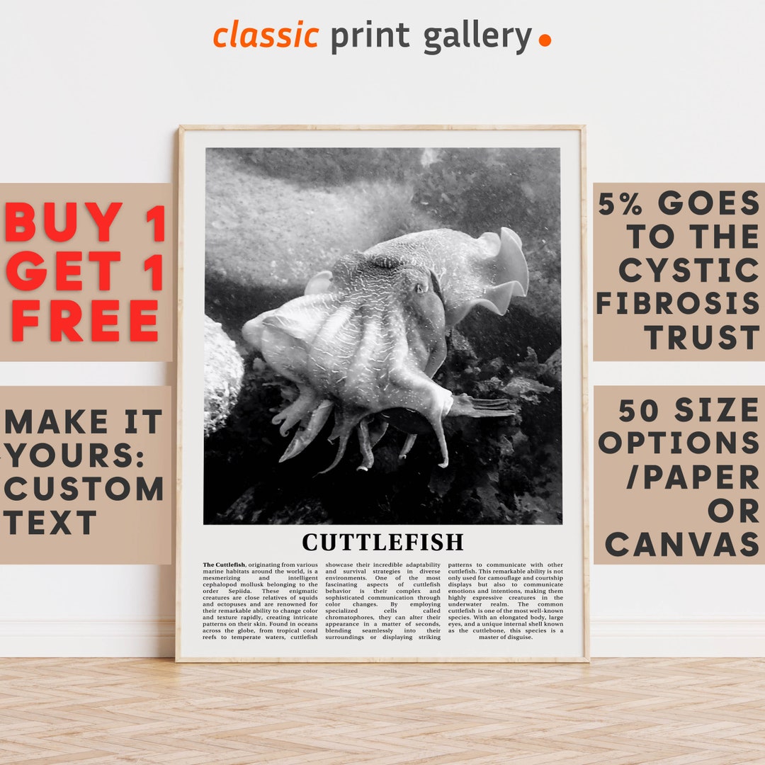 Cuttlefish Print, Cuttlefish Wall Art Poster, Black White Classroom ...