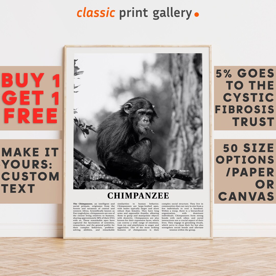Chimpanzee Print, Chimpanzee Wall Art Poster, Black White Classroom ...