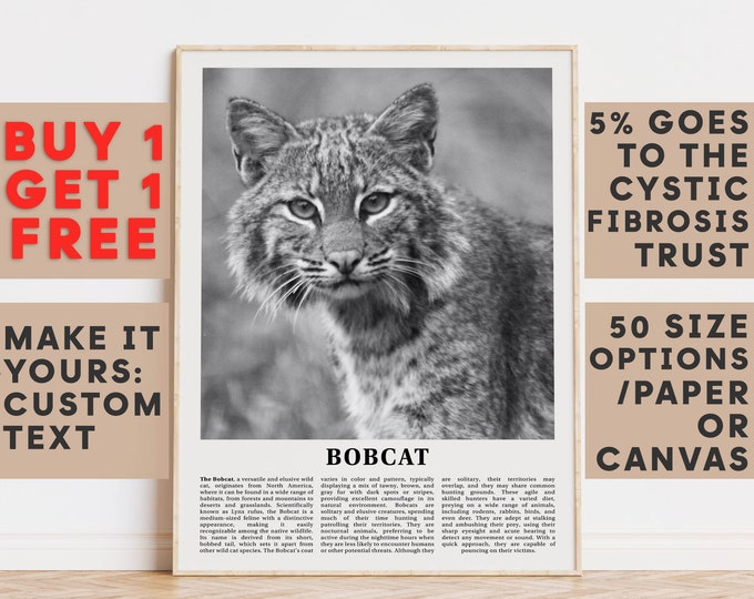 Bobcat Print, Bobcat Wall Art Poster, Black White Classroom Teacher ...