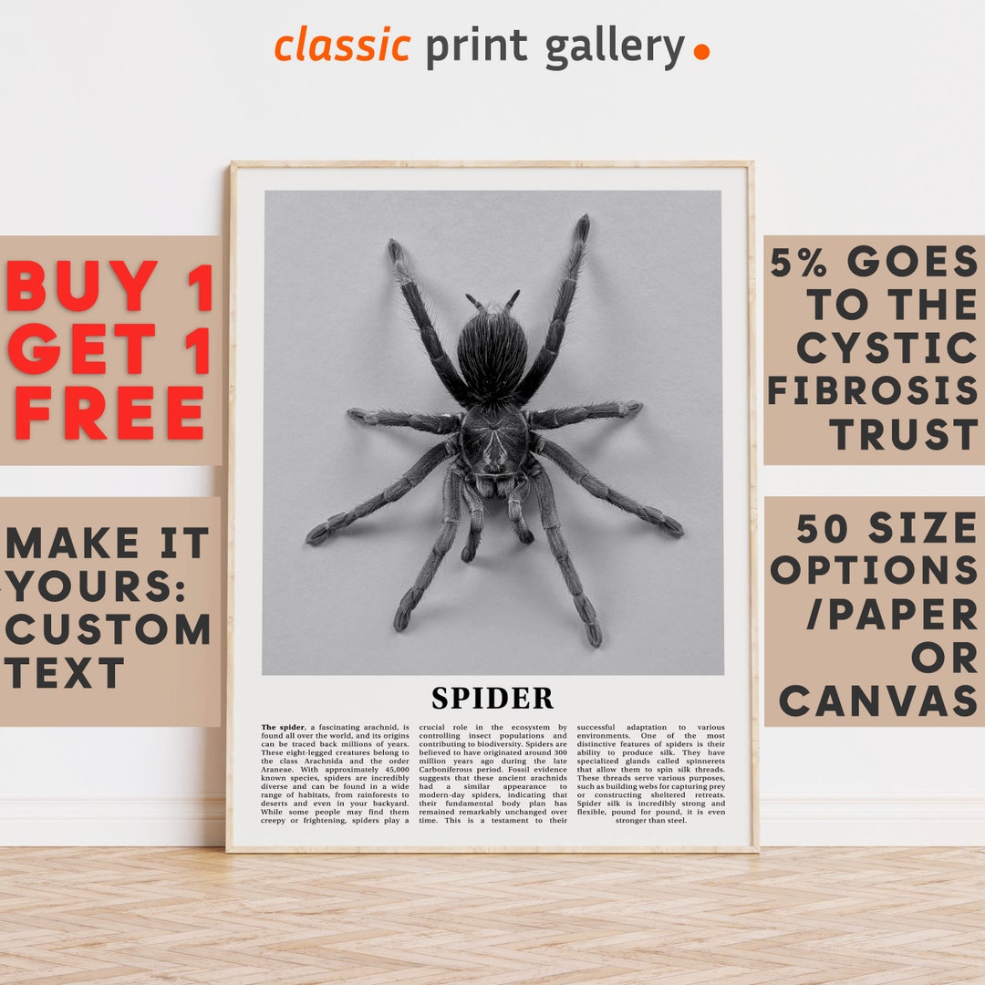 Spider Print, Spider Wall Art Poster, Black White Classroom Teacher ...
