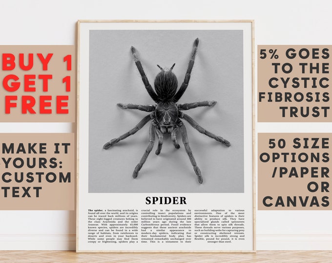 Spider Print, Spider Wall Art Poster, Black White Classroom Teacher ...