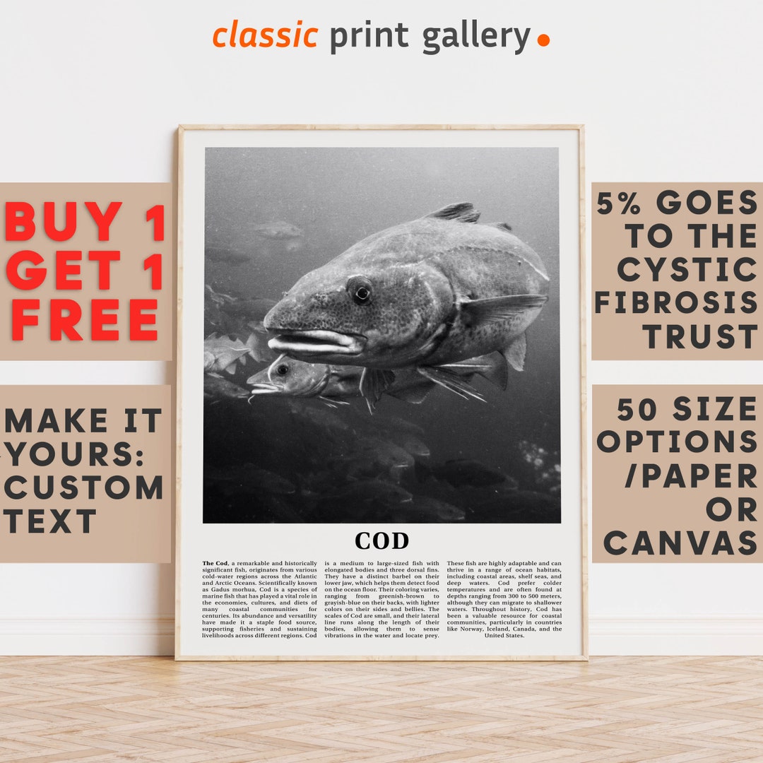 Cod Print, Cod Wall Art Poster, Black White Classroom Teacher Gift ...