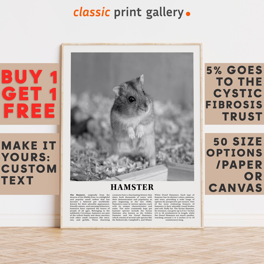 Hamster Print, Hamster Wall Art Poster, Black White Classroom Teacher ...