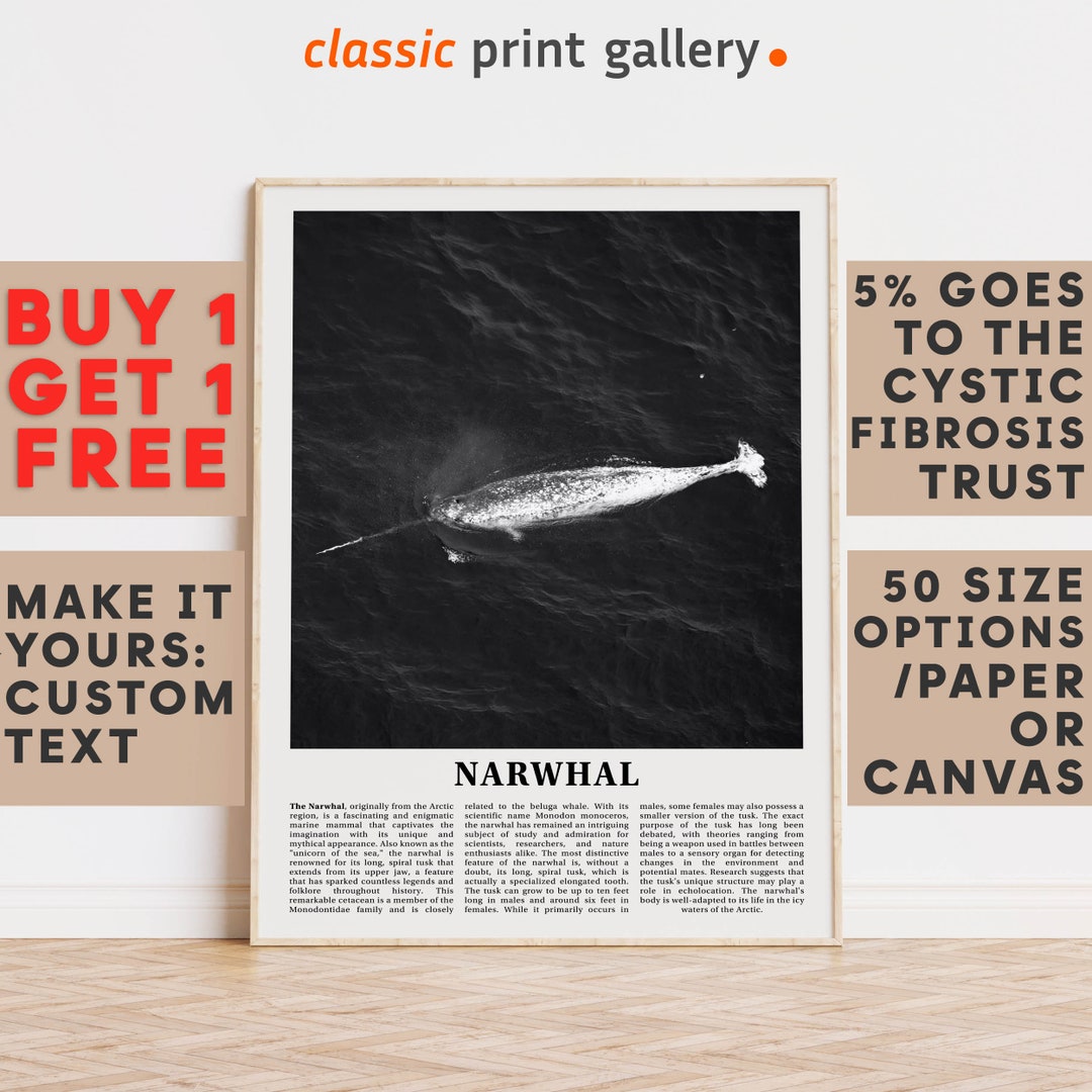 Narwhal Print, Narwhal Wall Art Poster, Black White Classroom Teacher ...