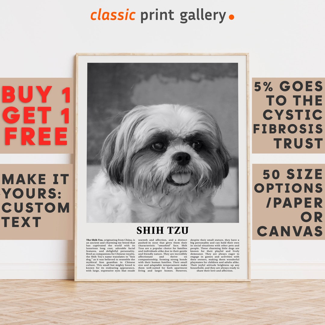 Shih Tzu Print, Shih Tzu Wall Art Poster, Black White Classroom Teacher ...