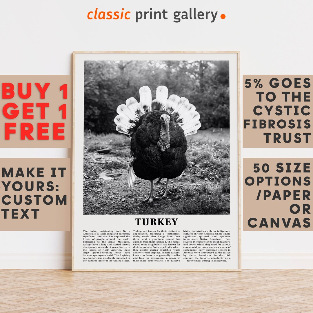 Turkey Print, Turkey Wall Art Poster, Black White Classroom Teacher ...