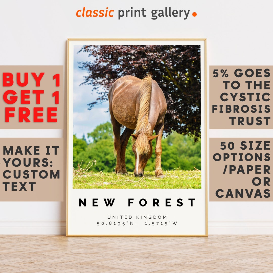 New Forest Print,new Forest Wall Art,new Forest Colorful Poster ...